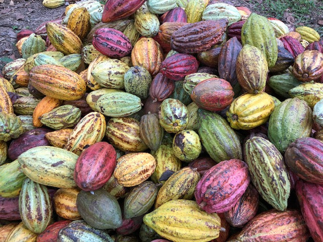 Friis-Holm Chokolade